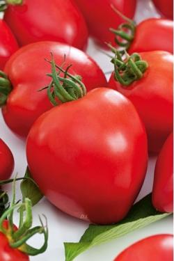 Rasad,Volovsko srce crveno paradajz(poslednje zalihe)-Izuzetno krupna sorta.