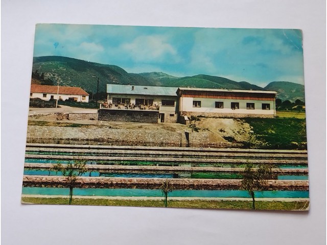 Ivangrad - Berane - Motel Gradina - Crna Gora - 1965.g