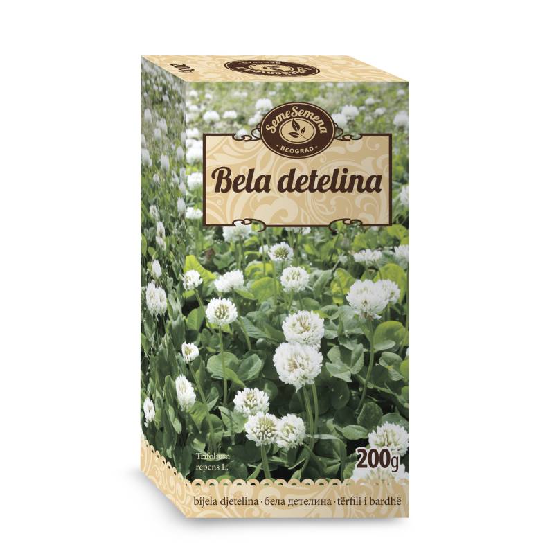 Bela Detelina Merlin