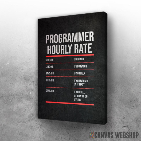 Slika Programmer Hourly Rate