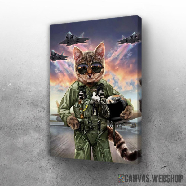 Slika Cat the Air Force Pilot