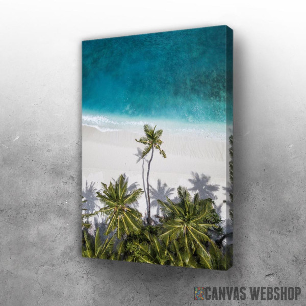 Slika Palm Beach Sea Skyview