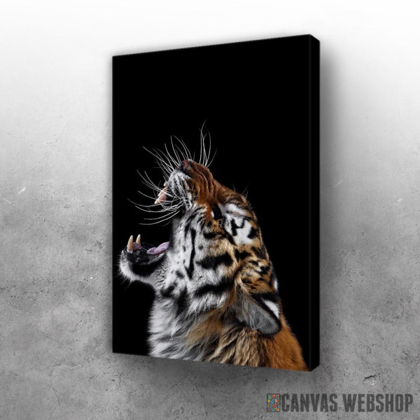 Slika angry wild tiger