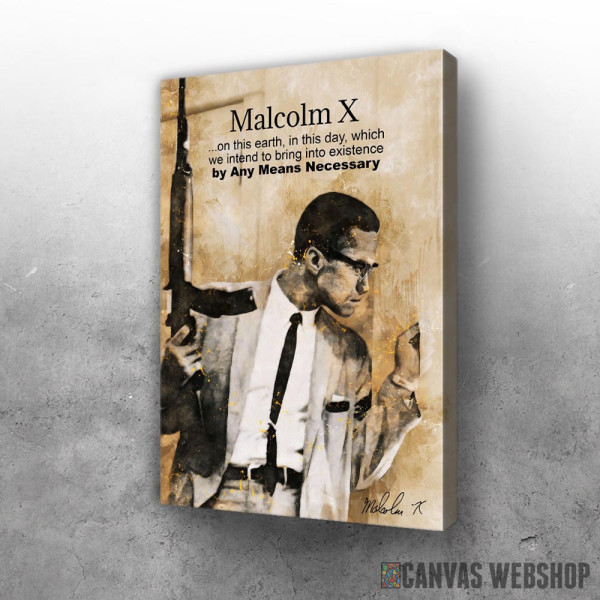 Slika malcolm X quote 2