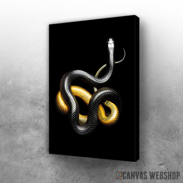 Slika snake black and yellow