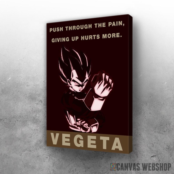 Vegeta Dragon Ball Z