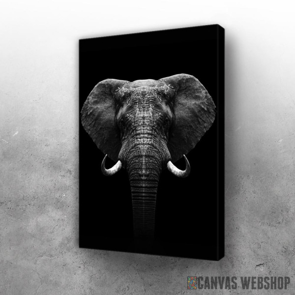 Slika Elephant head art