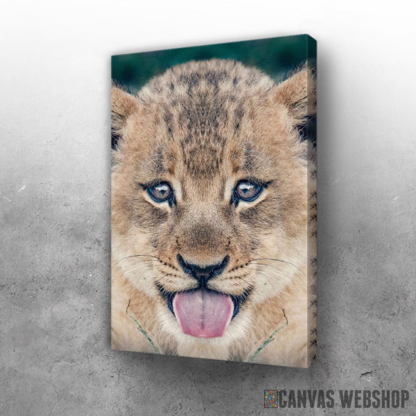 Slika baby lion