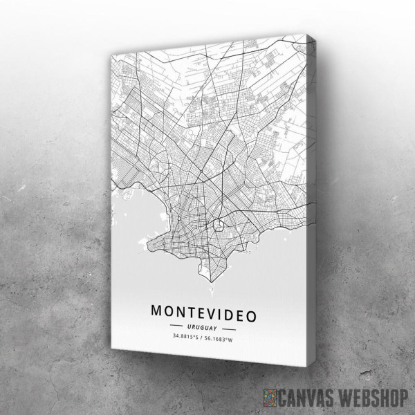 Slika Montevideo mapa - white
