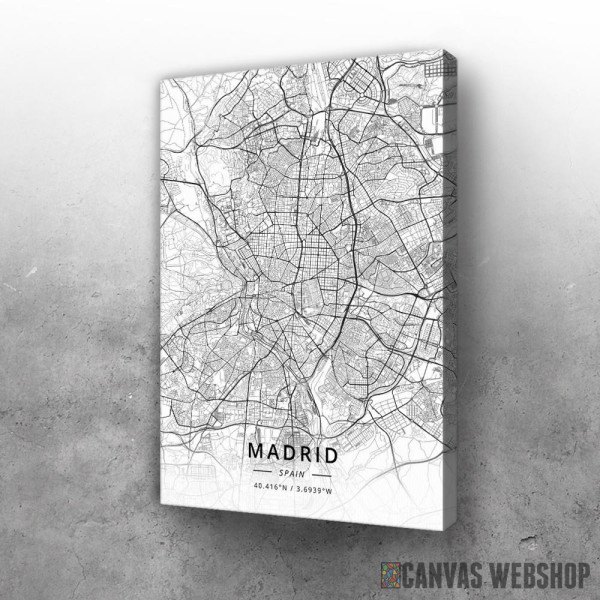 Slika Madrid mapa - white