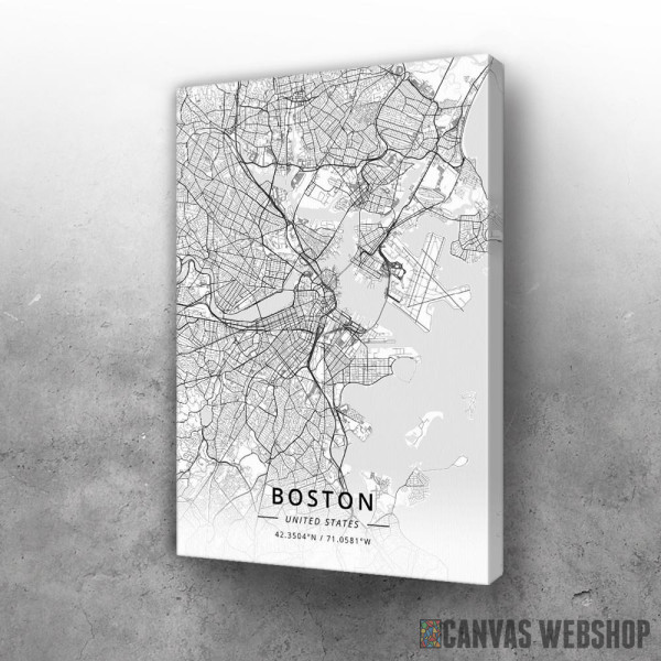 Slika Boston mapa - white
