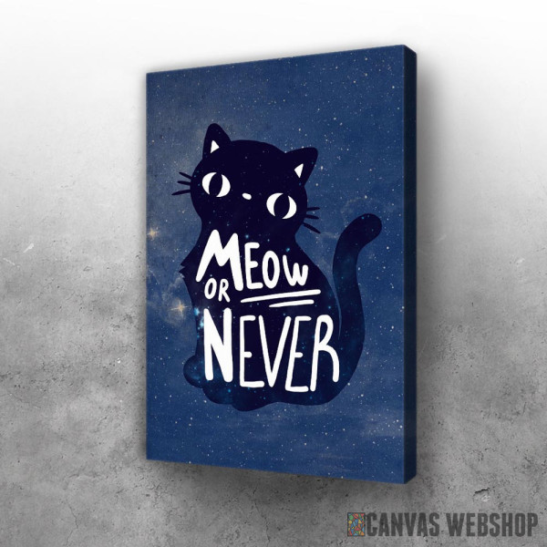 Slika Meow or never