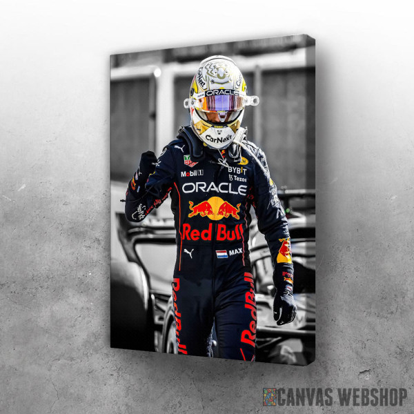 Slika F1 Verstappen