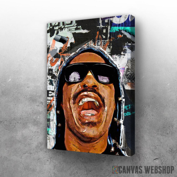 Slika Stevie wonder pop art