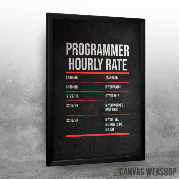 Programmer Hourly Rate