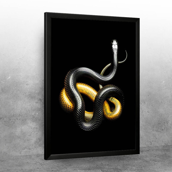 snake black and yellow