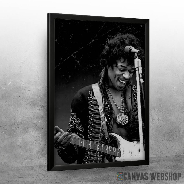 Jimi Hendrix Guitarist
