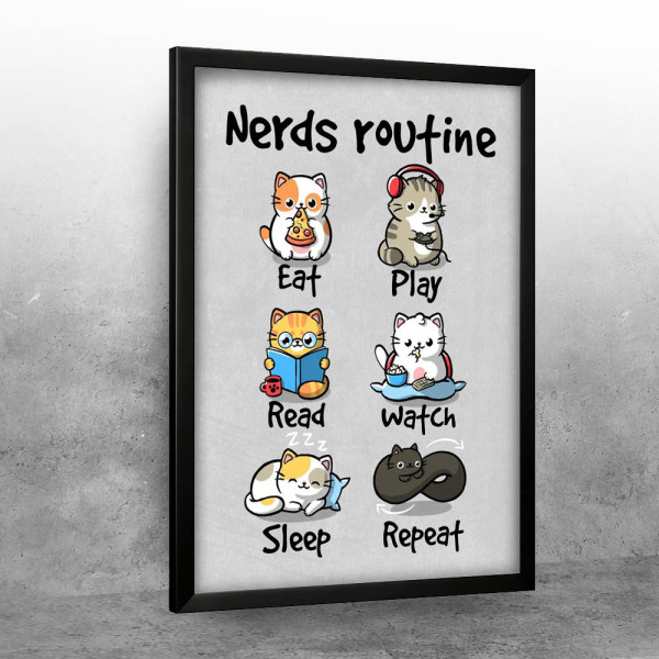 Nerds routine