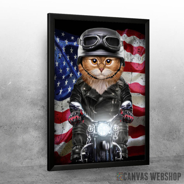 Patriot Cat on Motorcycle