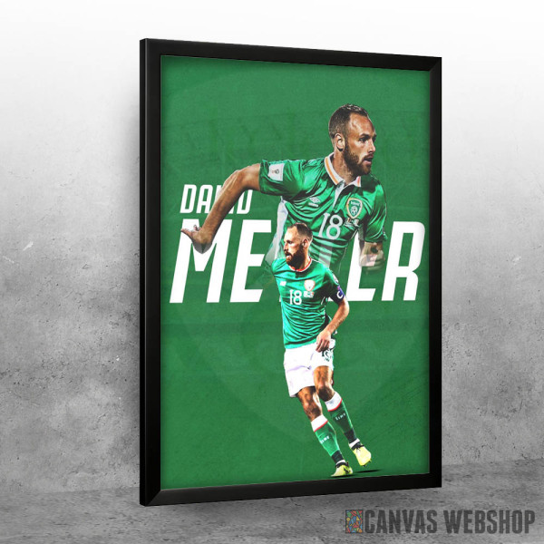 David Meyler Poster