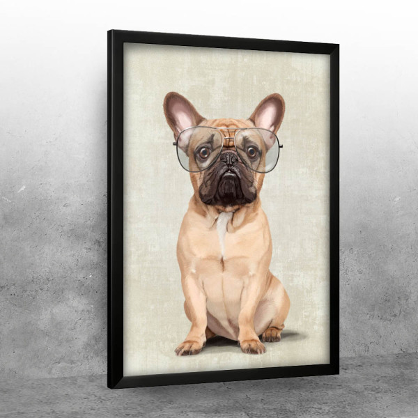 Mr French Bulldog