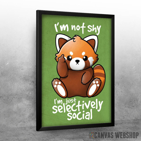 Shy red panda