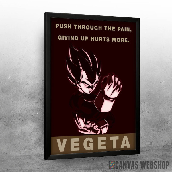 Vegeta Dragon Ball Z