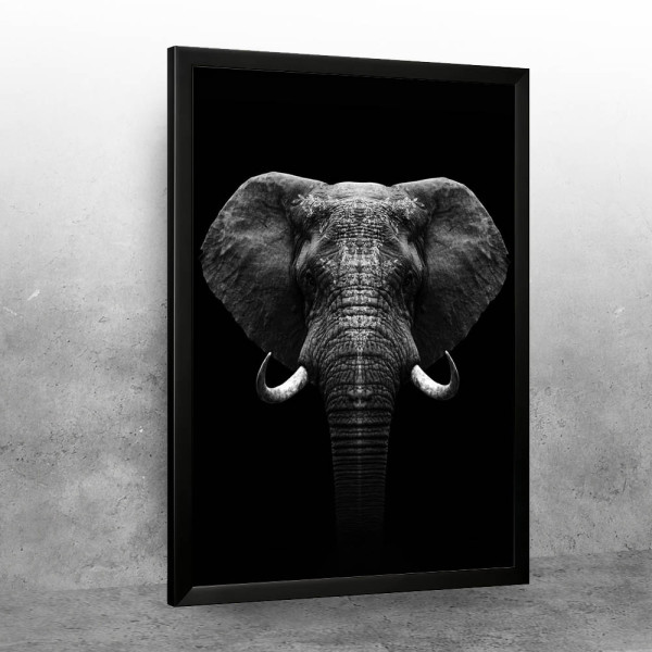 Elephant head art