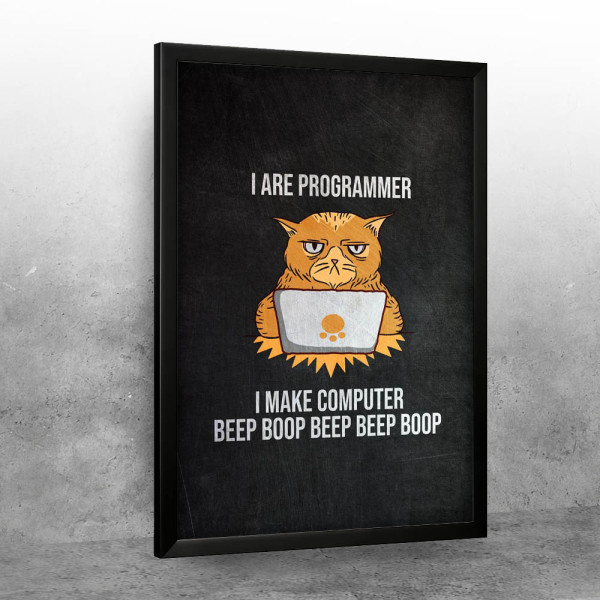 Programmer Cat 2