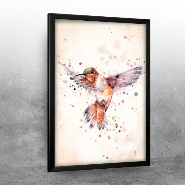 Rufous The Hummingbird