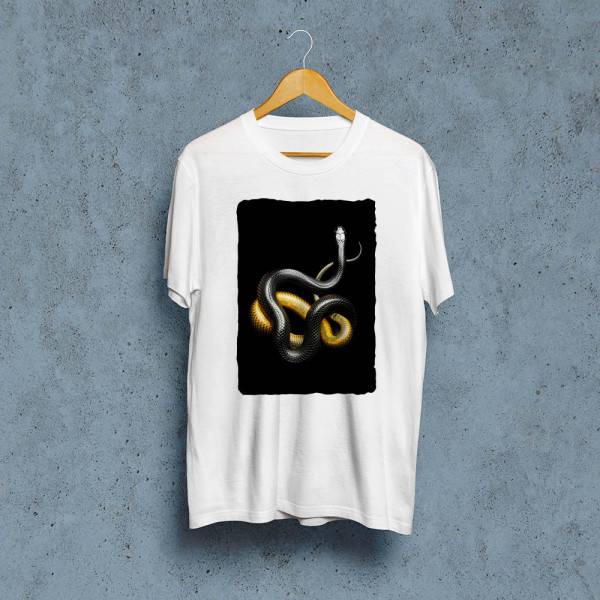 snake black and yellow