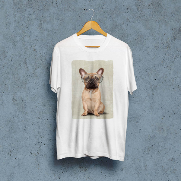 Mr French Bulldog