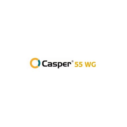Casper 55 WG 1 l