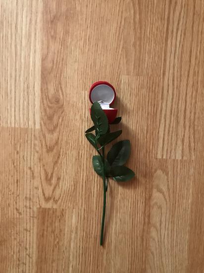 Ruža kutija