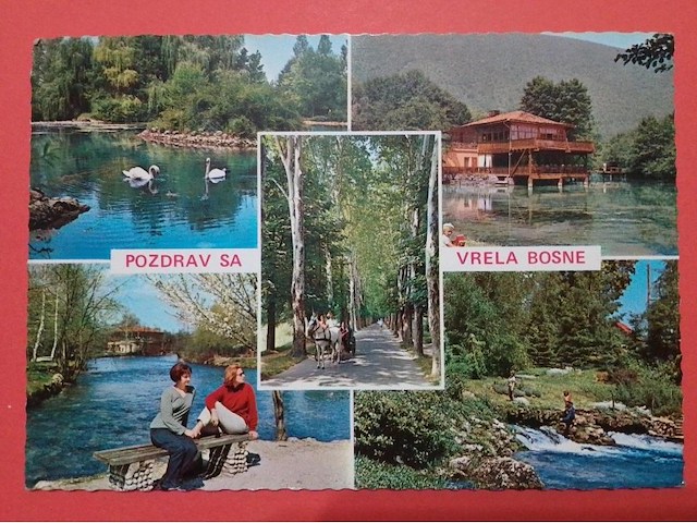 POZDRAV SA VRELA BOSNE -STARA RAZGLEDNICA (591)