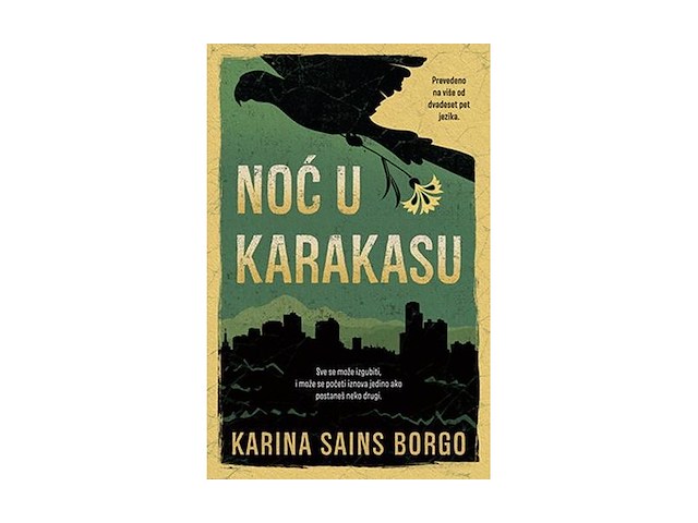 Noć u karakasu - Karina Sains Borgo