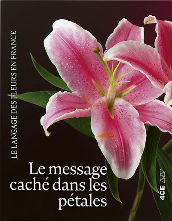 PORUKA SKRIVENA MEĐU LATICAMA-LE LANGAGE DES FLEURS EN FRANCE