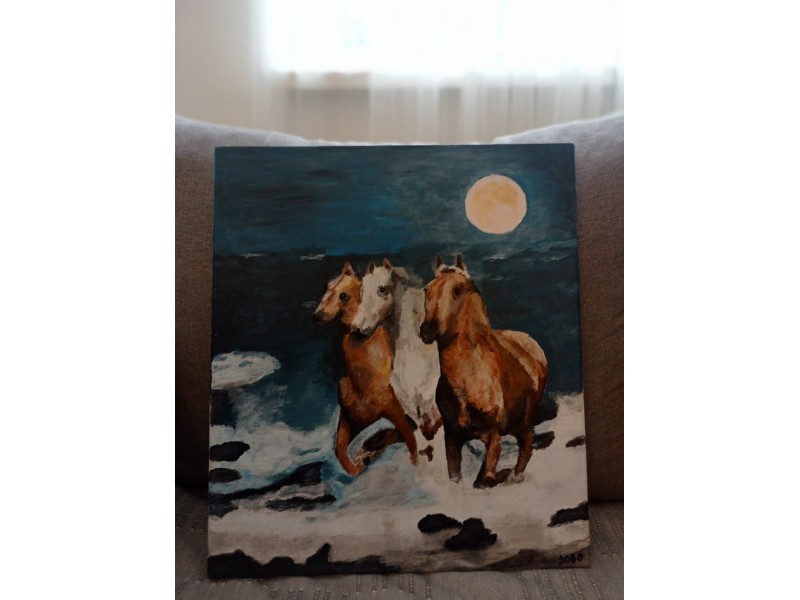 Umetnička slika "Konji"(Akrilne boje )