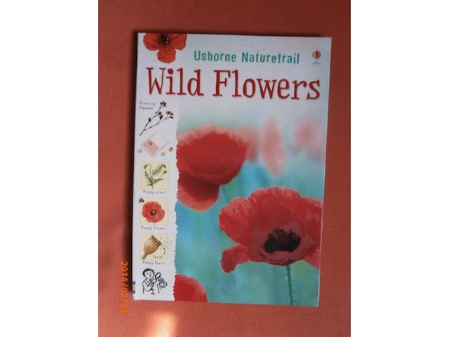 Wild Flowers ( Usborne Naturetrail )