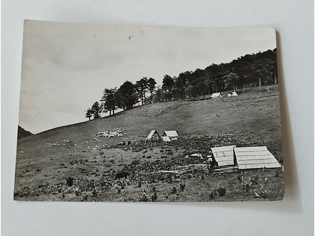 Zelengora - Lučke Kolibe - Bosna - Čista