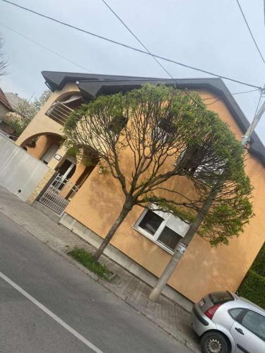 Prodaje se kuća na atraktivnoj lokaciji u Kruševcu
Kruševac