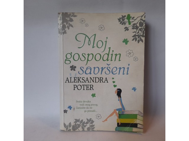 Moj gospodin savršeni - Aleksandra Porter