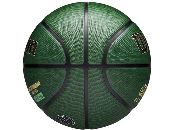 Wilson Basket lopta NBA Player Icon Outdoor Giannis WZ4006201XB7