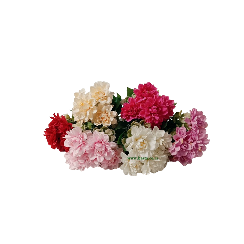 V.b. dalija 5cv mix boja bela,crvena,krem,sv.roza,roza,lila+zeleni cvetici