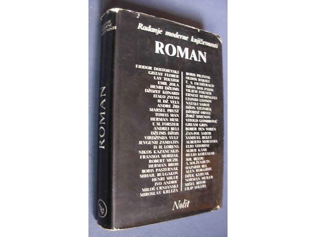 ROMAN - Rađanje moderne književnosti