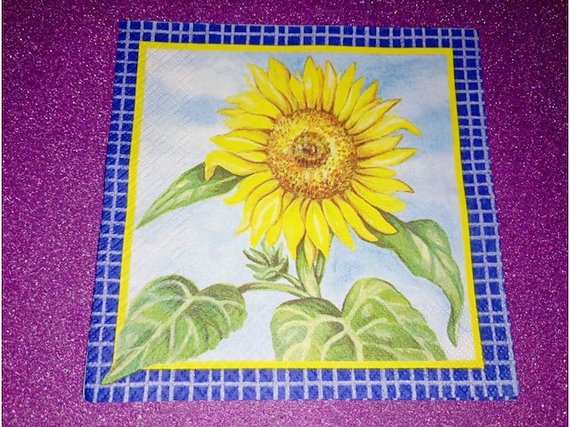 Salveta 33 x 33