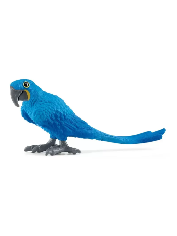 Macaw 14859