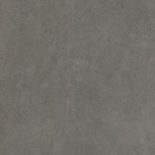 Arcides Grey 61x61