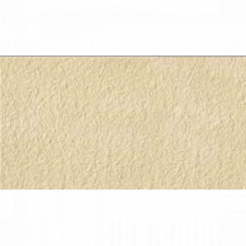 Living Outdoor PNR Beige R11 30.8x61.5