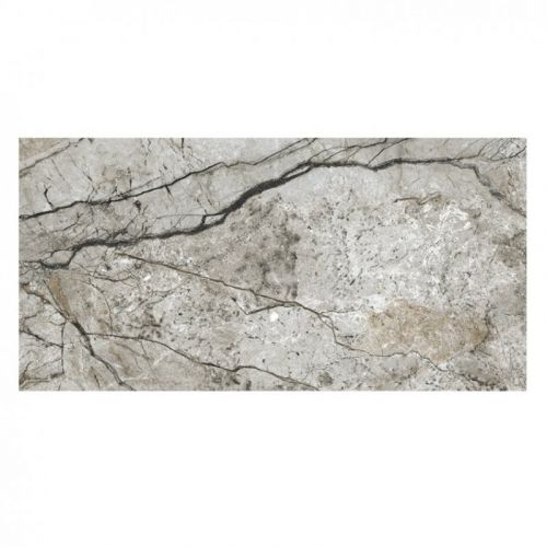 Marble Skin Grey Matt 59.8×119.8